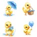 Duck in a Puddle Clipart Duck in Puddle Png Cute Duck Cute Ducky Duck ...