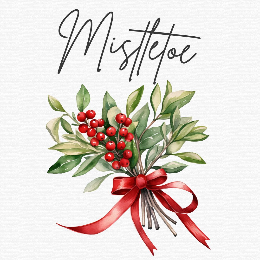Watercolor Christmas Mistletoe Clipart: Holiday Greenery (PNG Digital ...