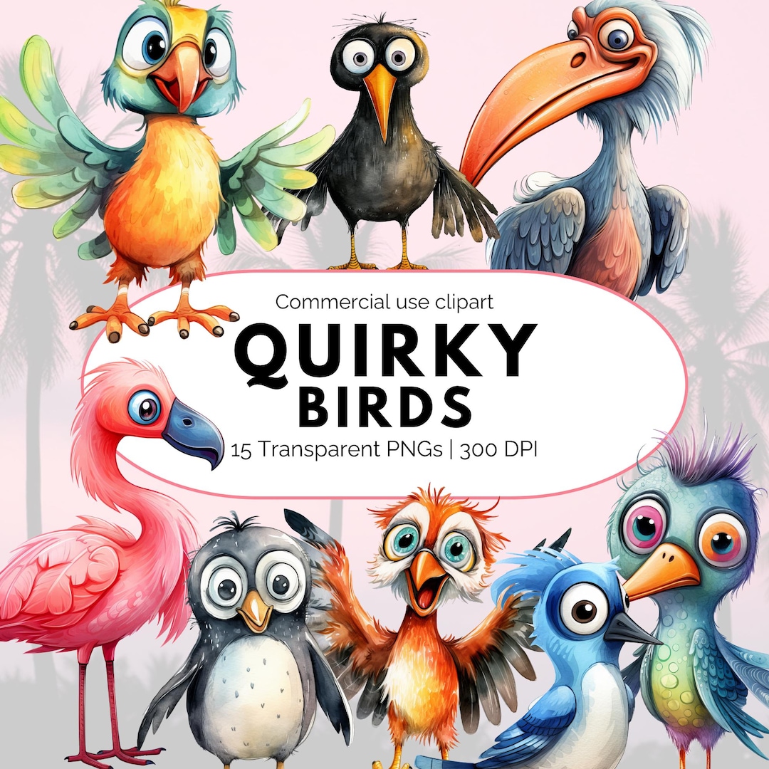 Quirky Birds Clipart Bundle, Funny Bird Characters PNG, Whimsical ...