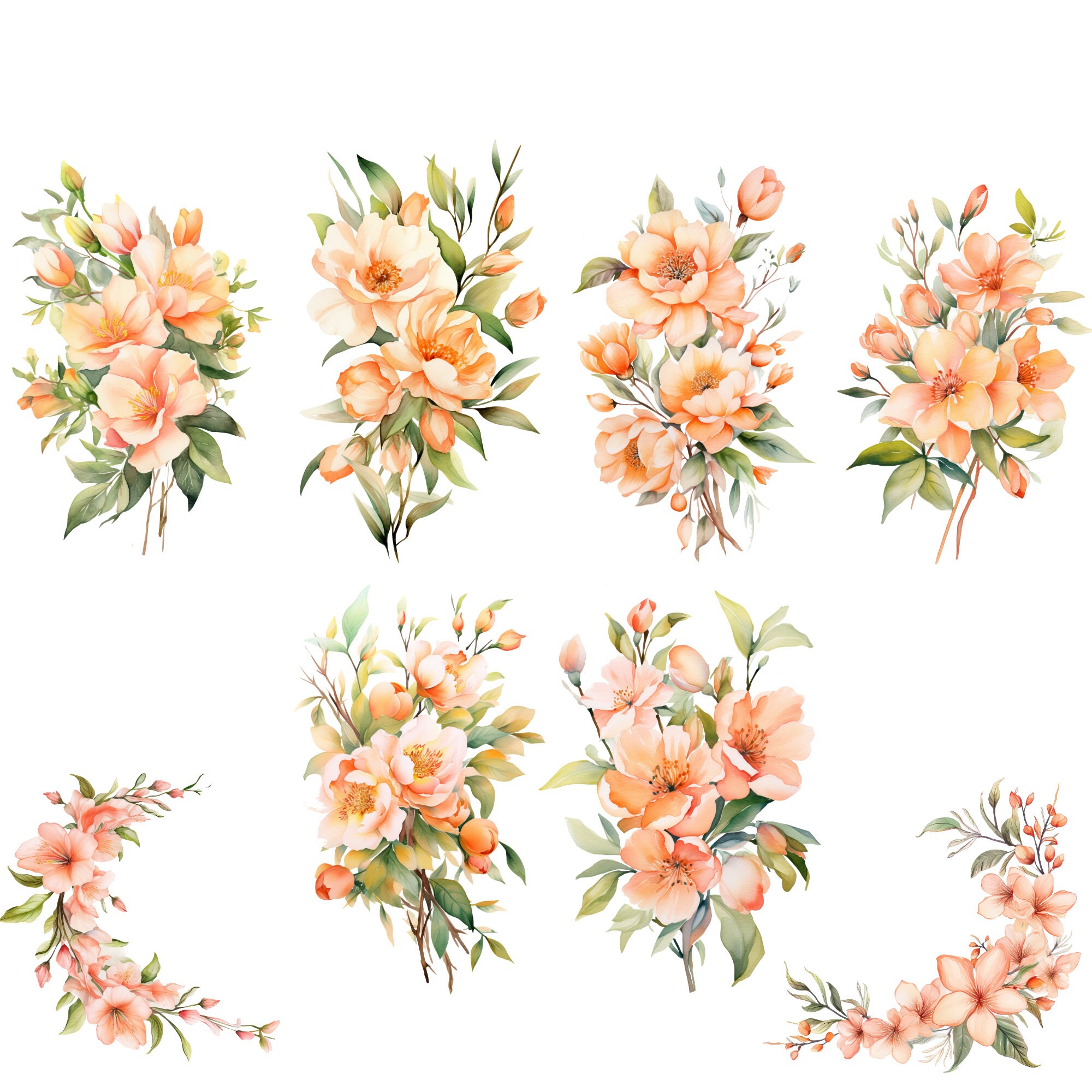 Watercolor Peach Floral Clipart Peach Fuzz Peach Flower Botanical Blush ...