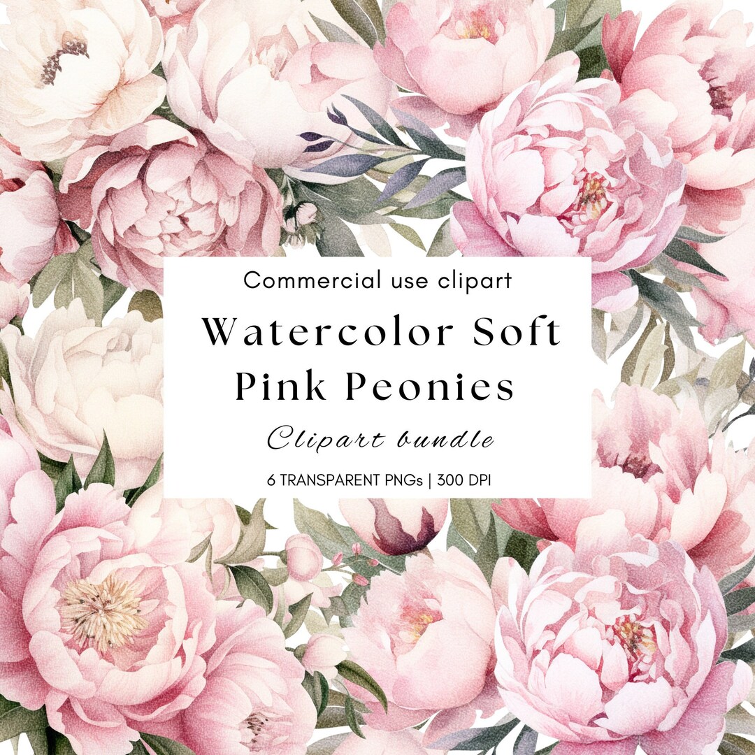 Watercolor Soft Pink Peony Floral Clipart | Dusty Pink Floral | Peony ...