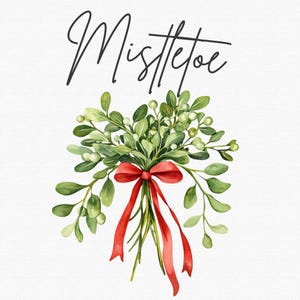 Watercolor Christmas Mistletoe Clipart Single | Mistletoe Png ...