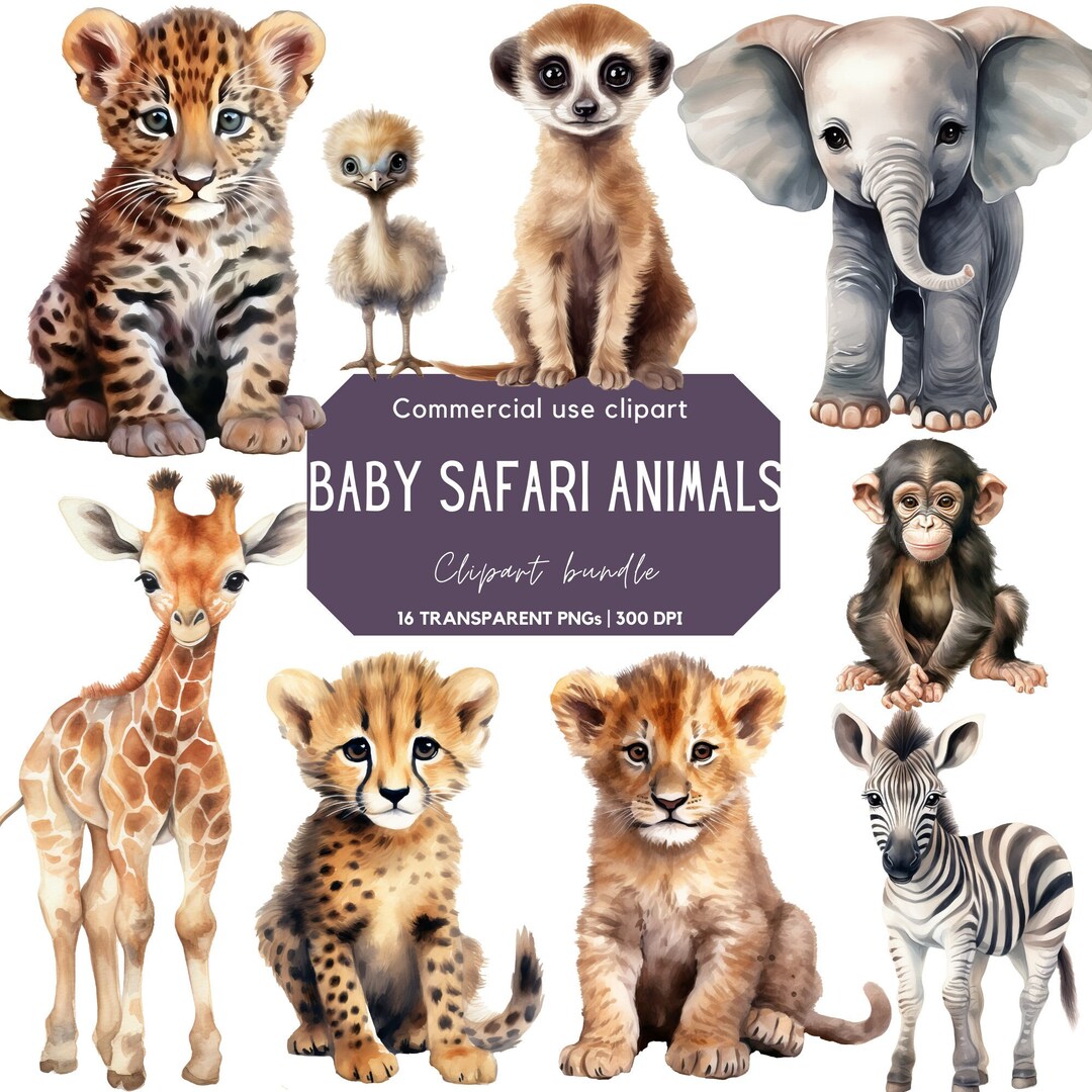 Baby Safari Animal Clipart | Safari Animal Png | Jungle Animals Png ...