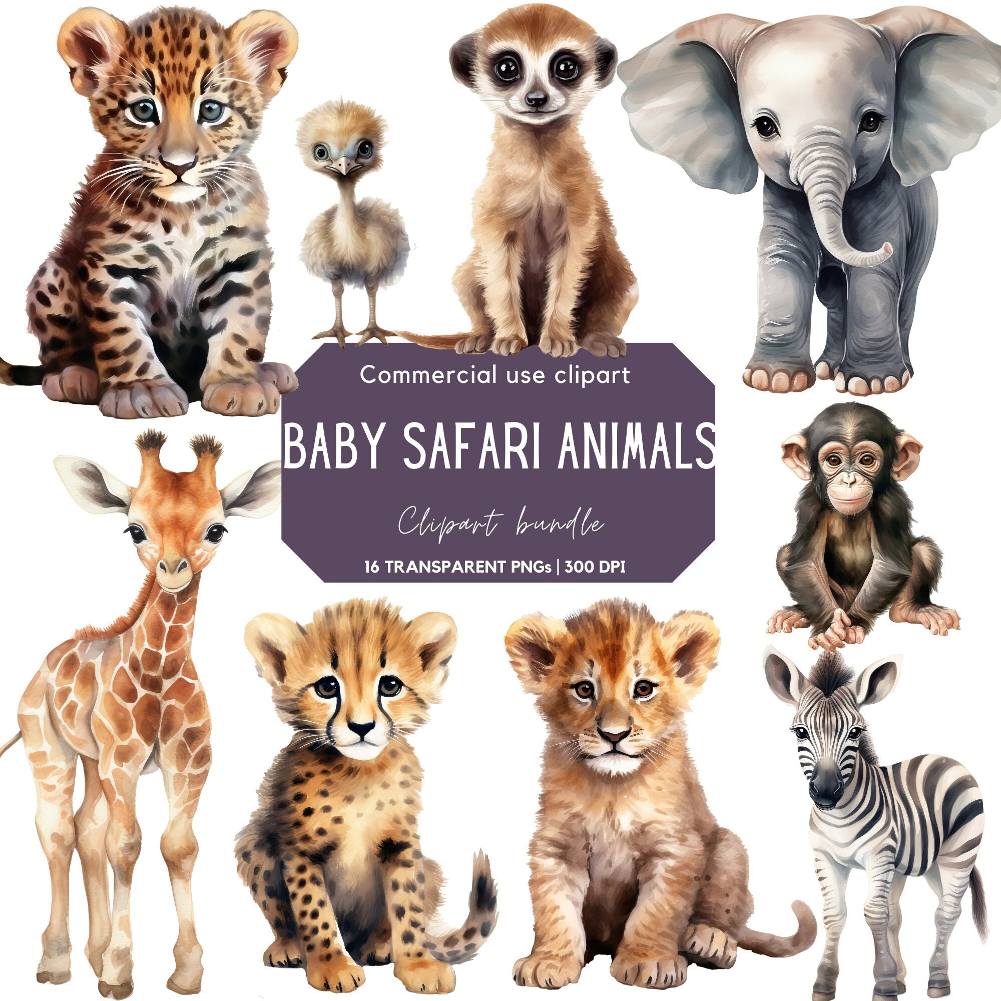 Baby Safari Animal Clipart Safari Animal Png Jungle Animals Png Baby ...