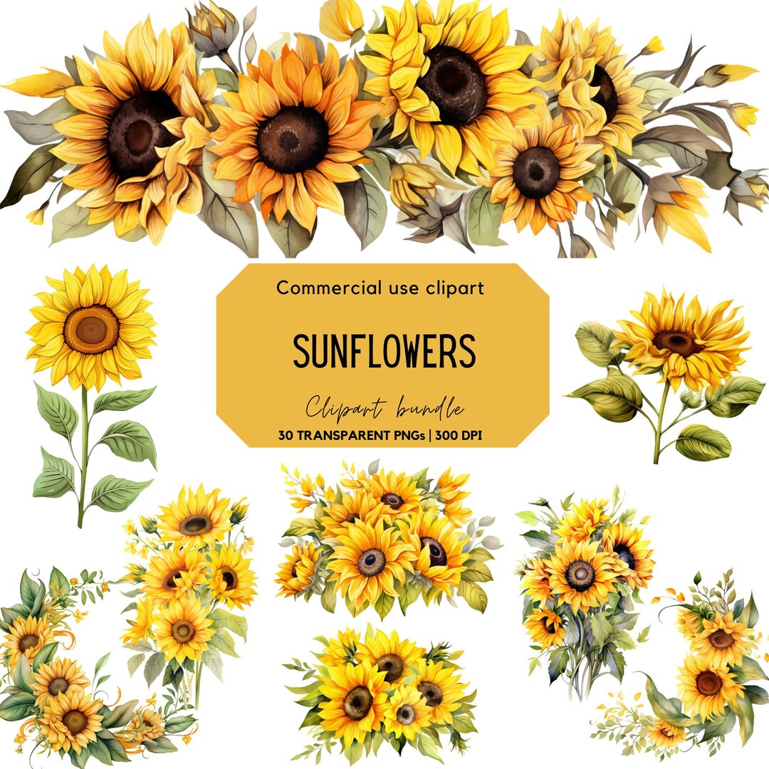 Watercolor Sunflower Clipart Wedding Watercolor Flowers Wedding Clipart ...