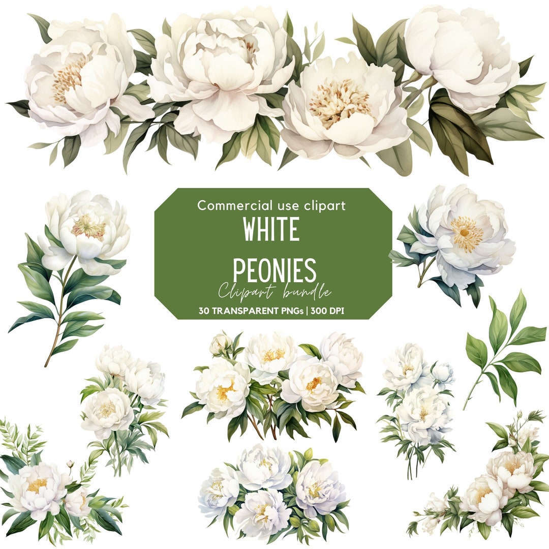 Acuarela blanca peonía clipart / boda blanca / flores de acuarela / clipart de boda / invitación ...