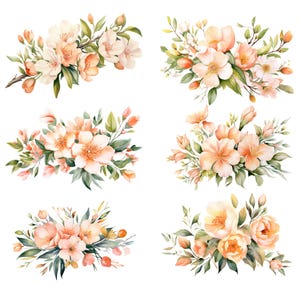 Watercolor Peach Floral Clipart: Wedding Invitation Graphics ...