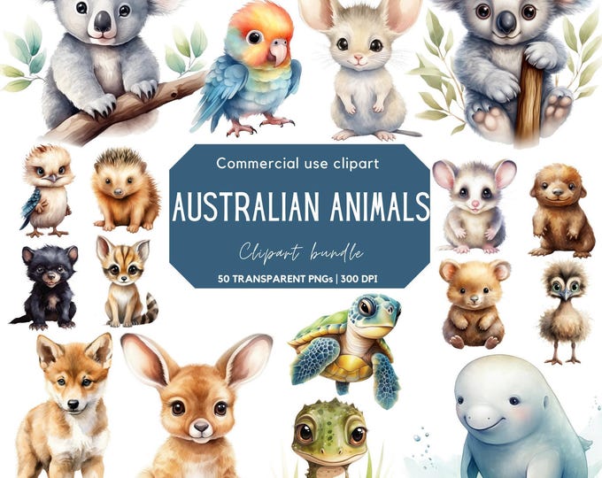 Niedliche Australische Tiere Clipart - Aquarell Clipart - Koala Clipart ...