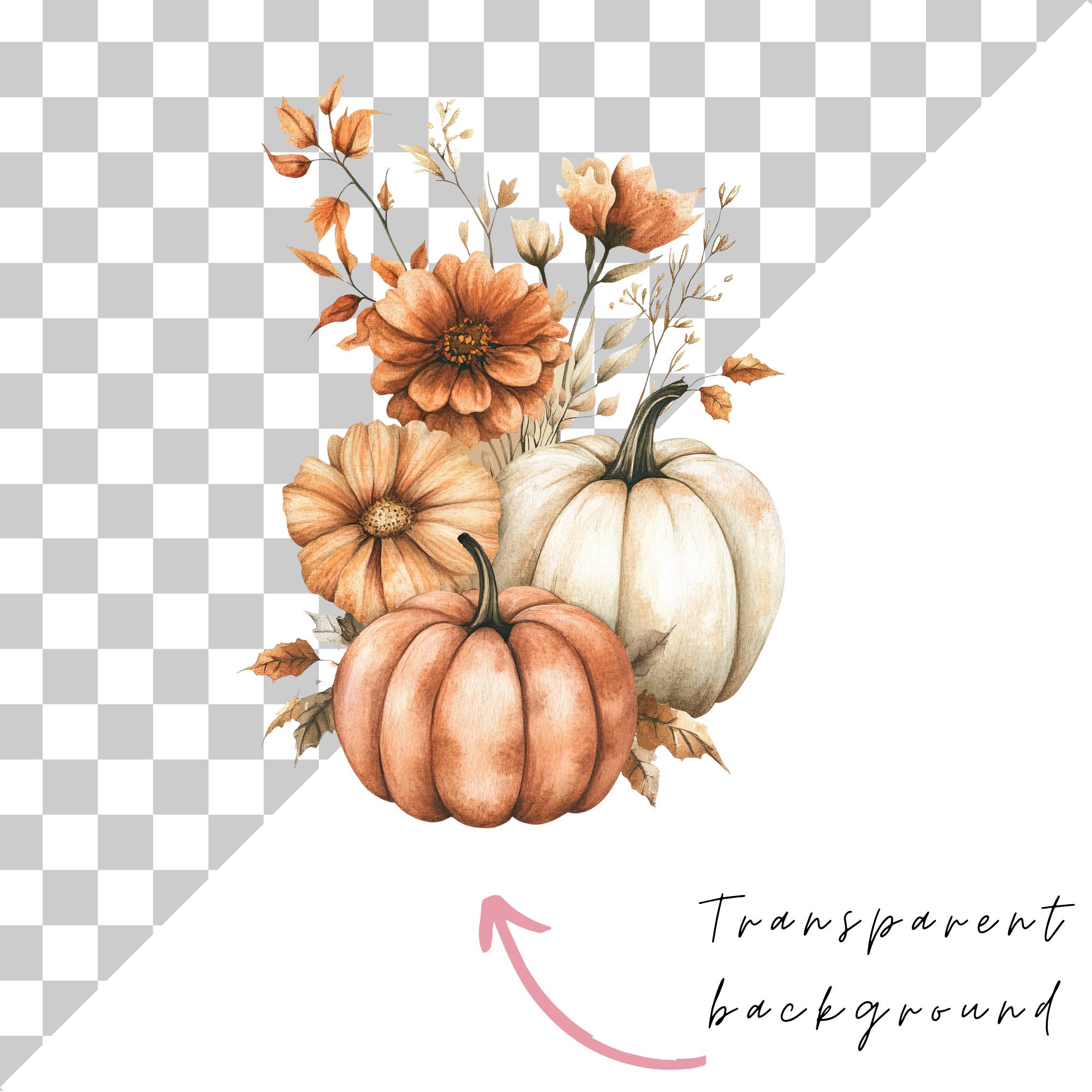 Florals of the Fall Clipart, Watercolor Pumpkin & Autumn Flower Pngs ...