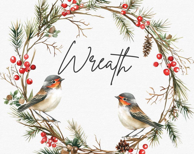 Christmas Clipart, Bird Clipart PNG, 12 Commercial Use Designs ...