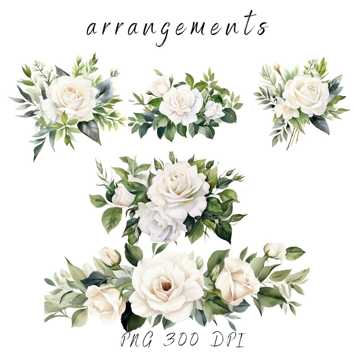 Watercolor White Rose Clipart: Wedding Floral PNG (commercial Use) - Etsy