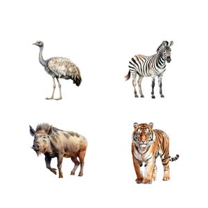 Watercolor Safari Animals Clipart: Jungle Nursery Art (PNG) - Etsy