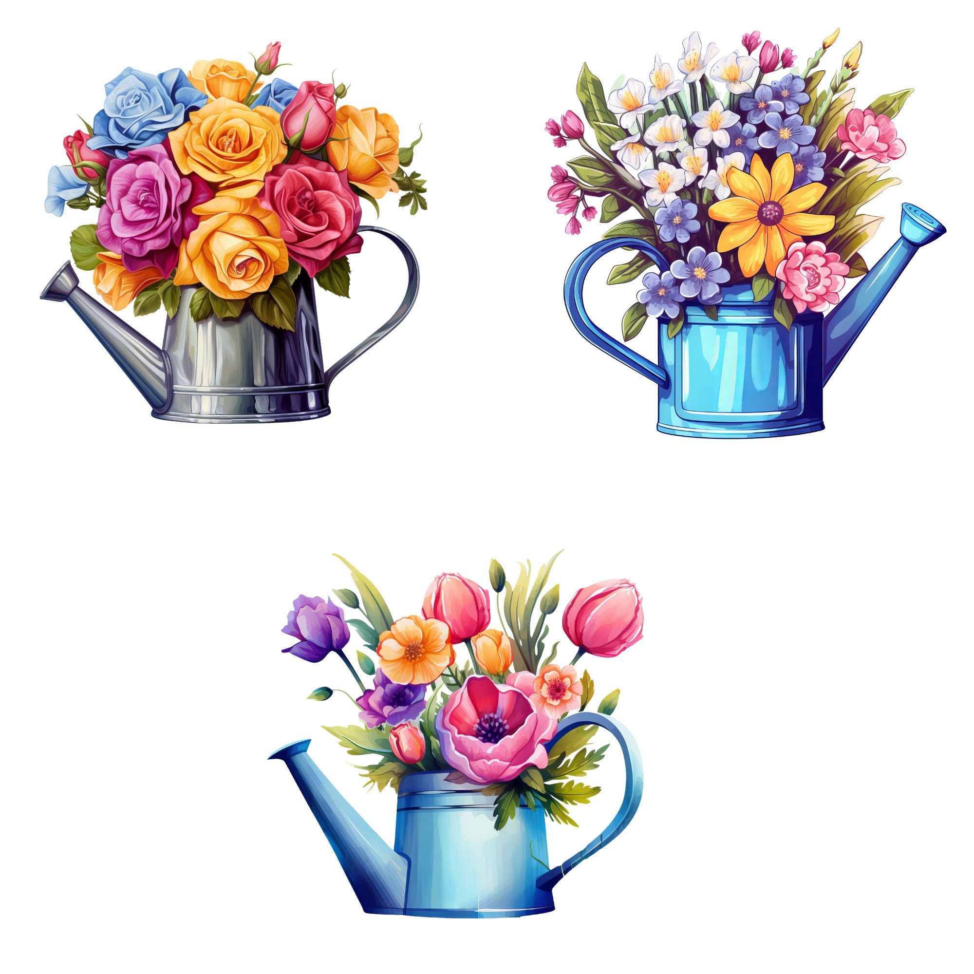 Watercolor Floral Watering Can Clipart Watering Can Png Watering Can ...