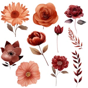 Burgundy and Rust Floral Clipart Burgundy Flower Fall Floral Fall ...