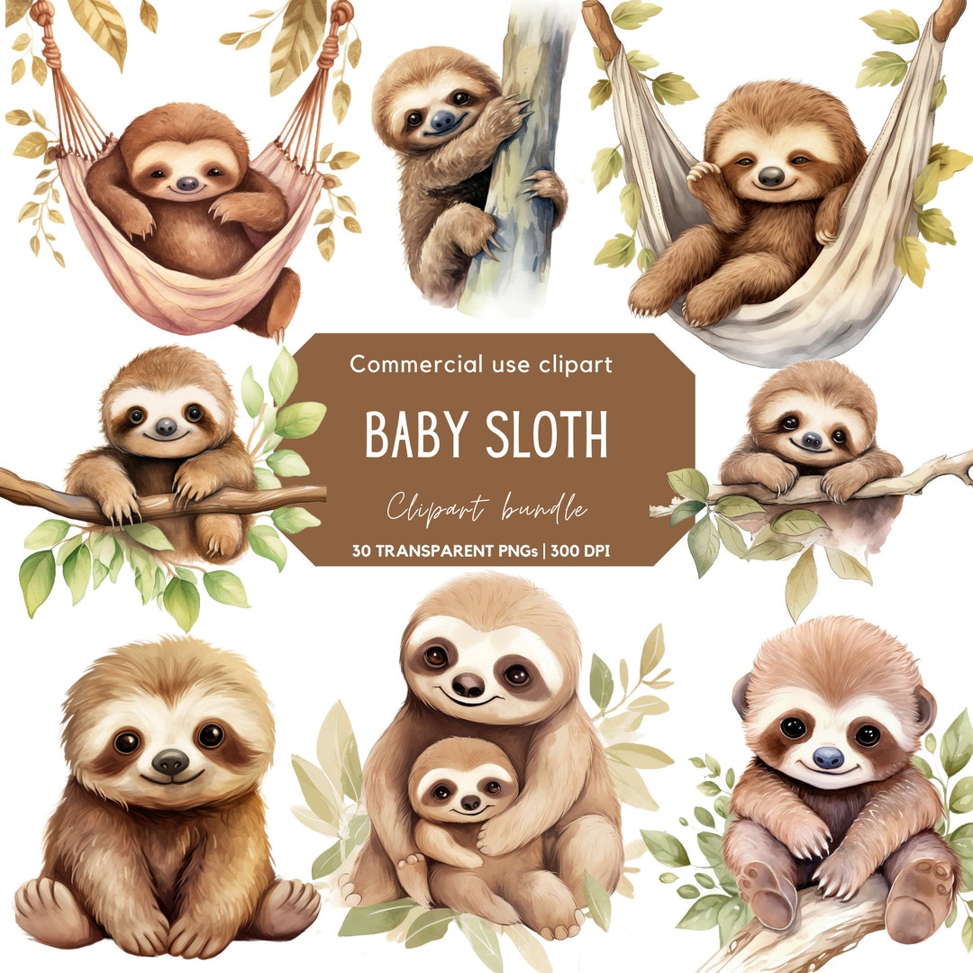 Watercolor Cute Baby Sloth | Sloth Illustration | Cute Animals Png ...