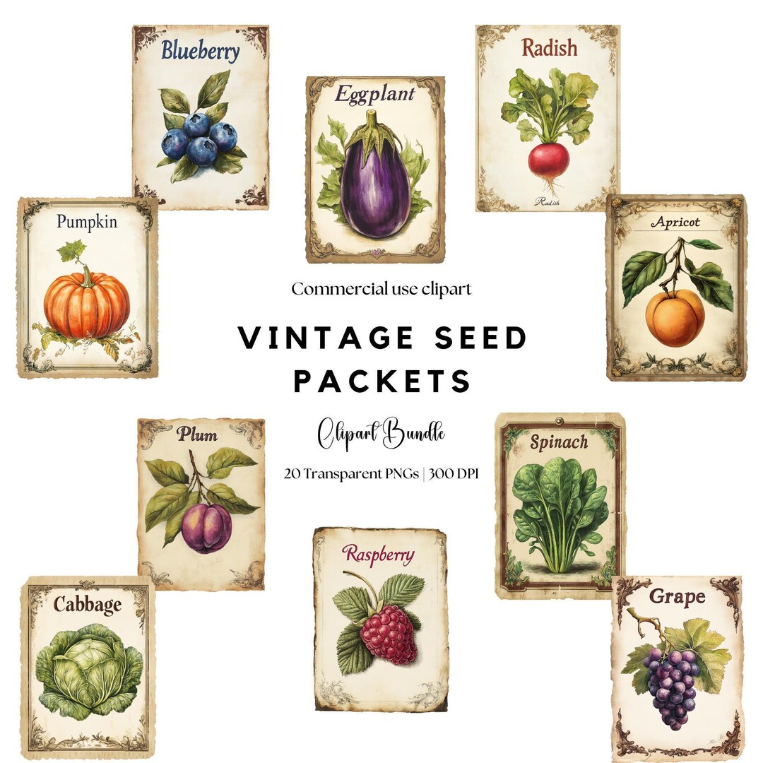 Vintage Seed Packet Clipart | Vintage Garden Ephemera | Flower and ...