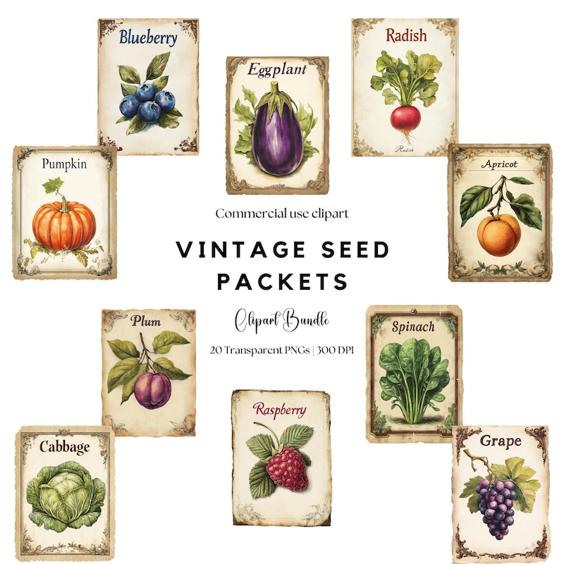 Vintage Seed Packets - Etsy