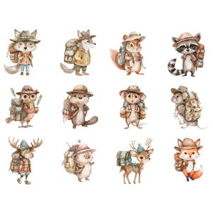 Watercolor Woodland Animals Go Camping Clipart | Summer Camp | Cute ...