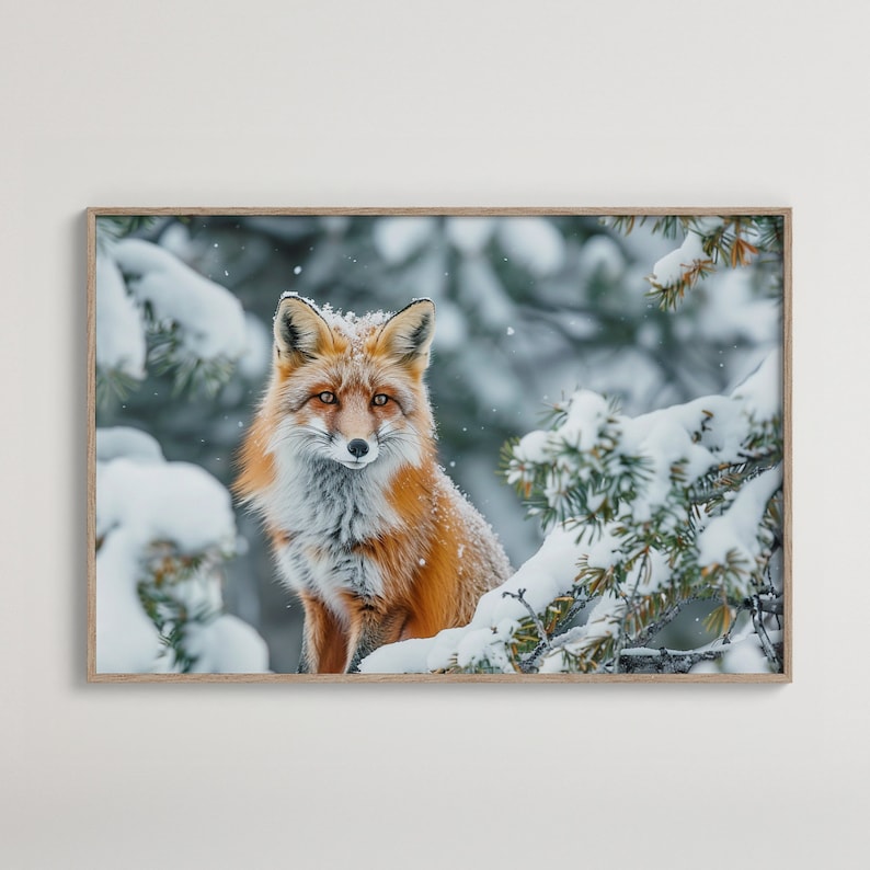 Winter Fox Portrait | Snowy Forest Animal | Wildlife Photography Print ...