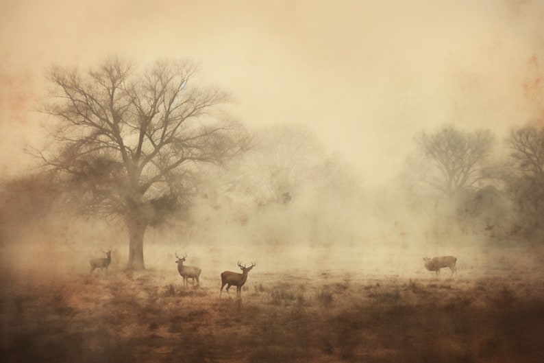 Rustic Fall Deer Art | Misty Autumn Forest Scenery | Vintage Style ...