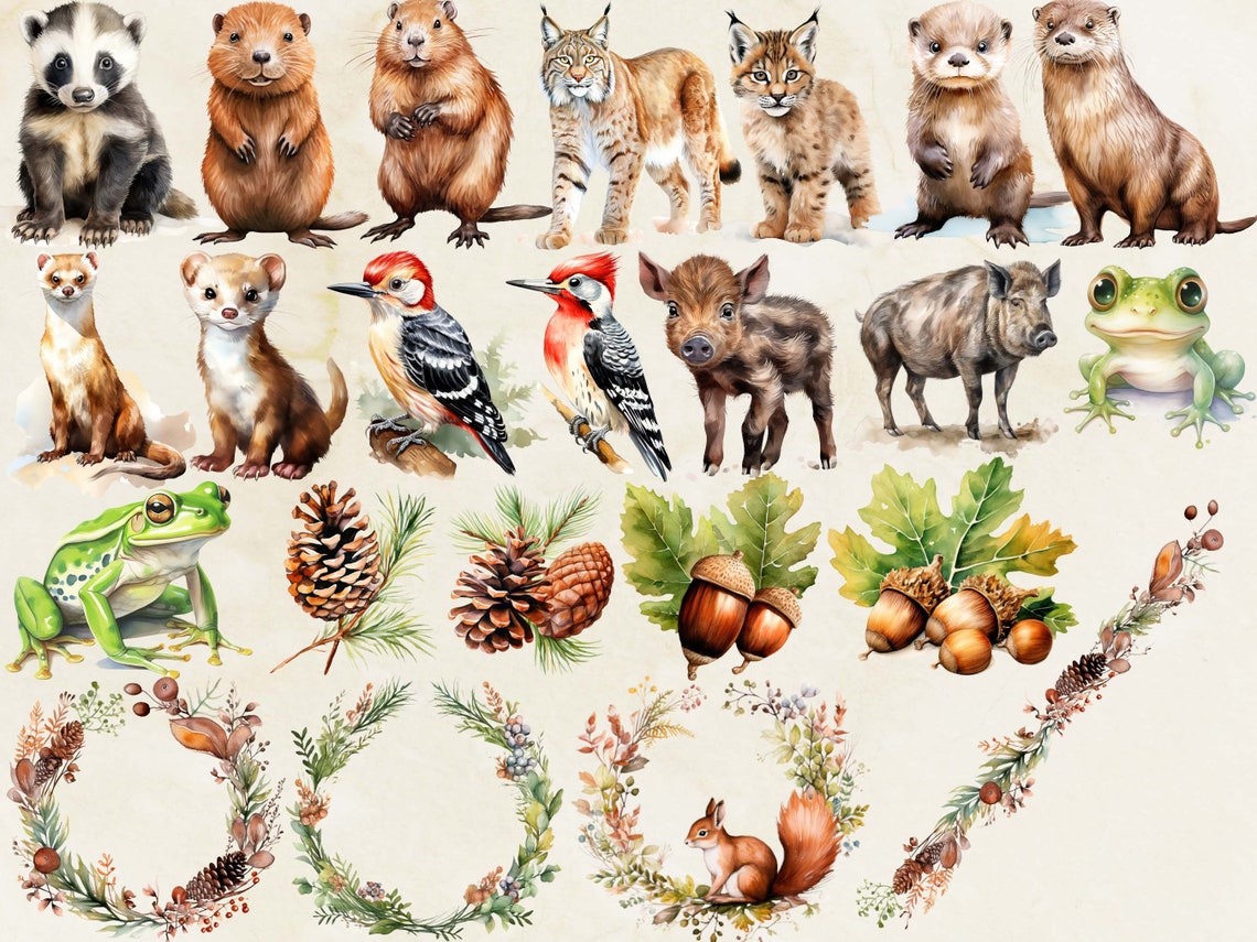 Watercolor Woodland Animals Clipart Bundle, Baby Animals Clipart ...
