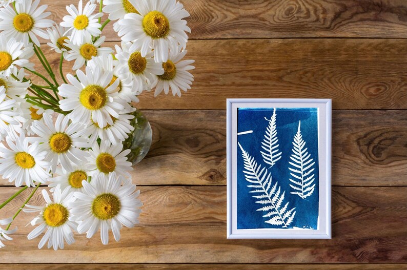 Cyanotype Solar Sun Print Kit Paper, 5x A5 Sizes - Etsy