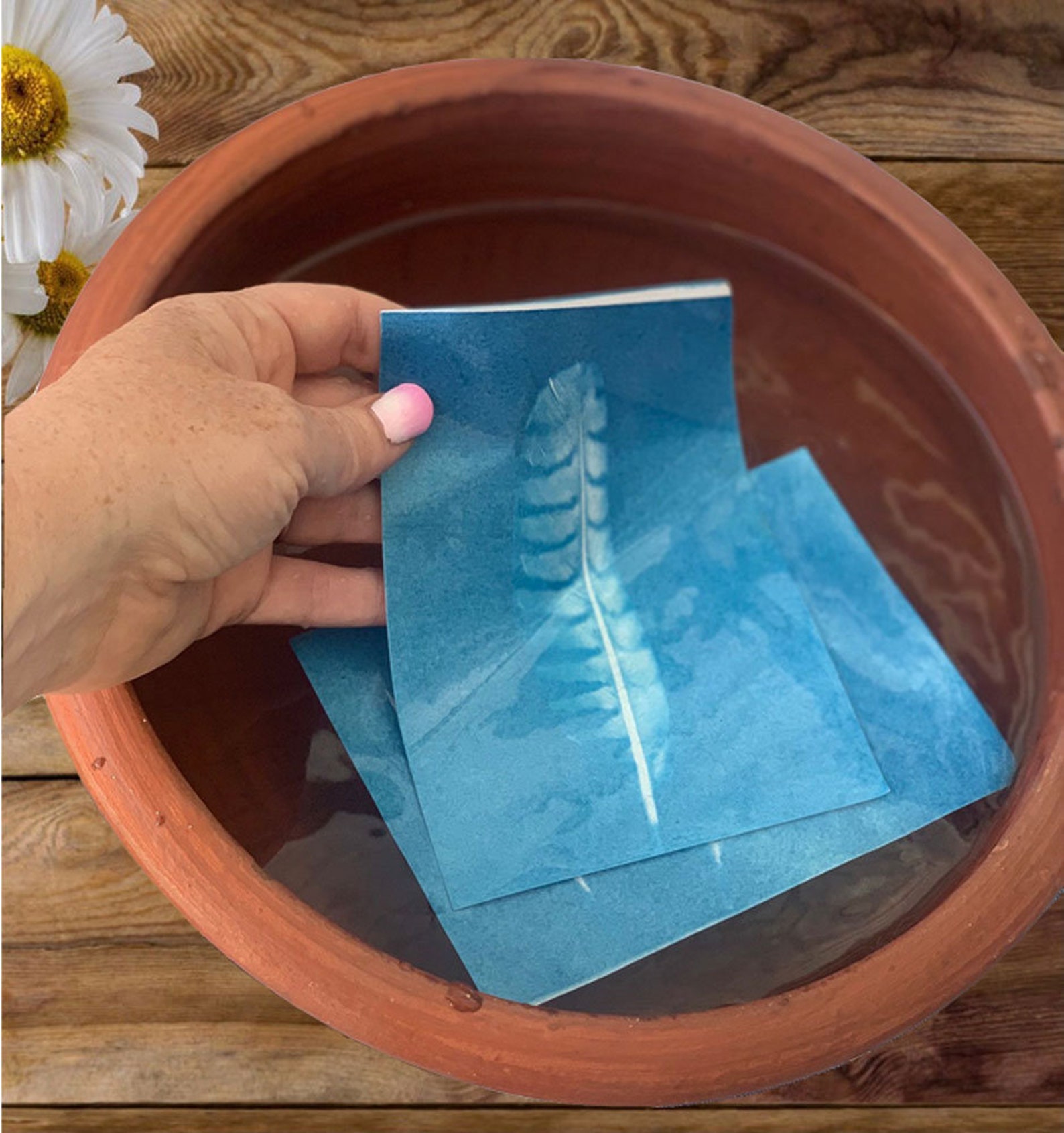 Cyanotype Solar Sun Print Kit Paper, 5x A5 Sizes - Etsy