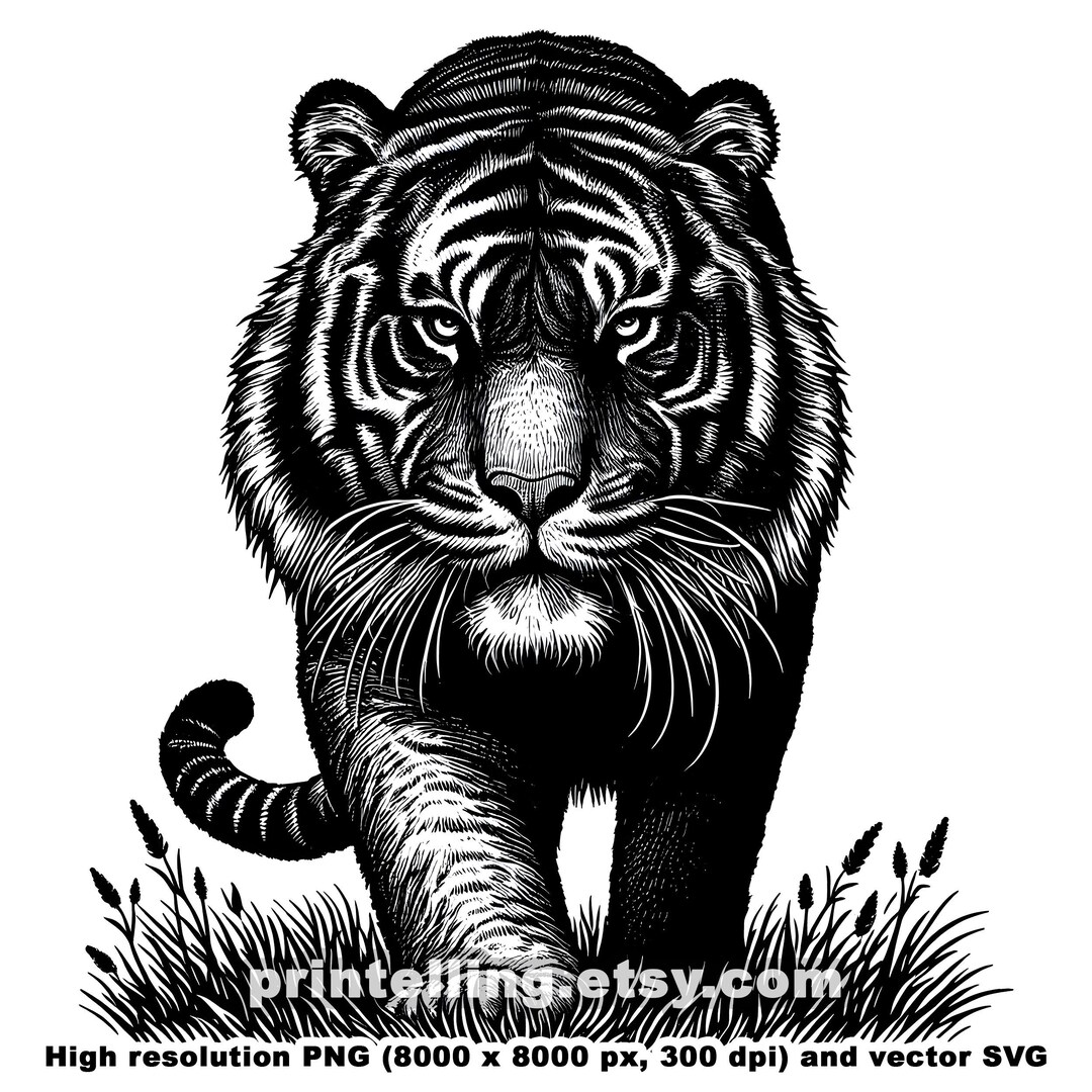 Etched Tiger Art: Vintage Style PNG & SVG Bundle - Etsy