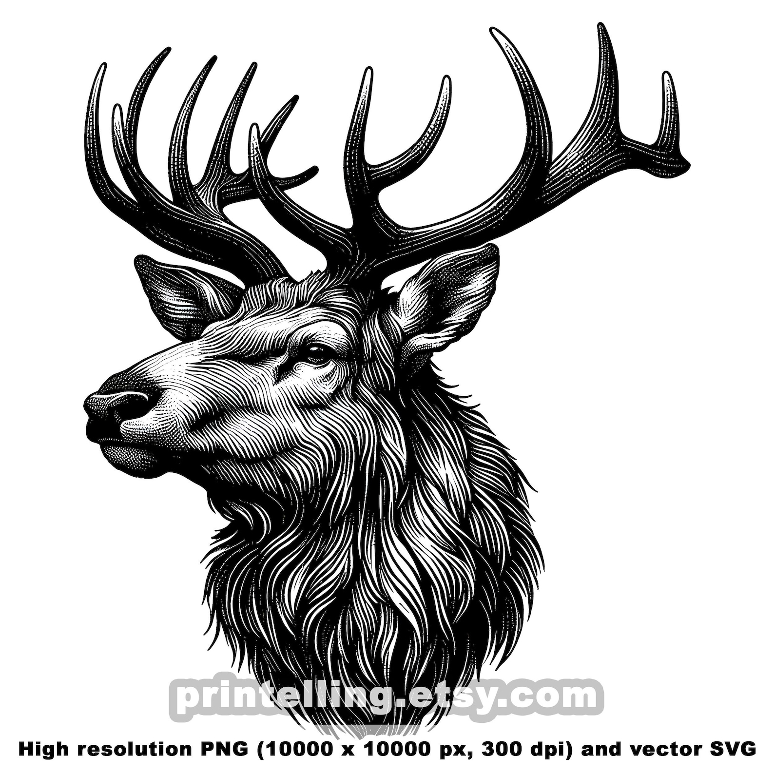 Vintage Elk Etching Art Bundle: PNG & SVG Digital Files - Etsy