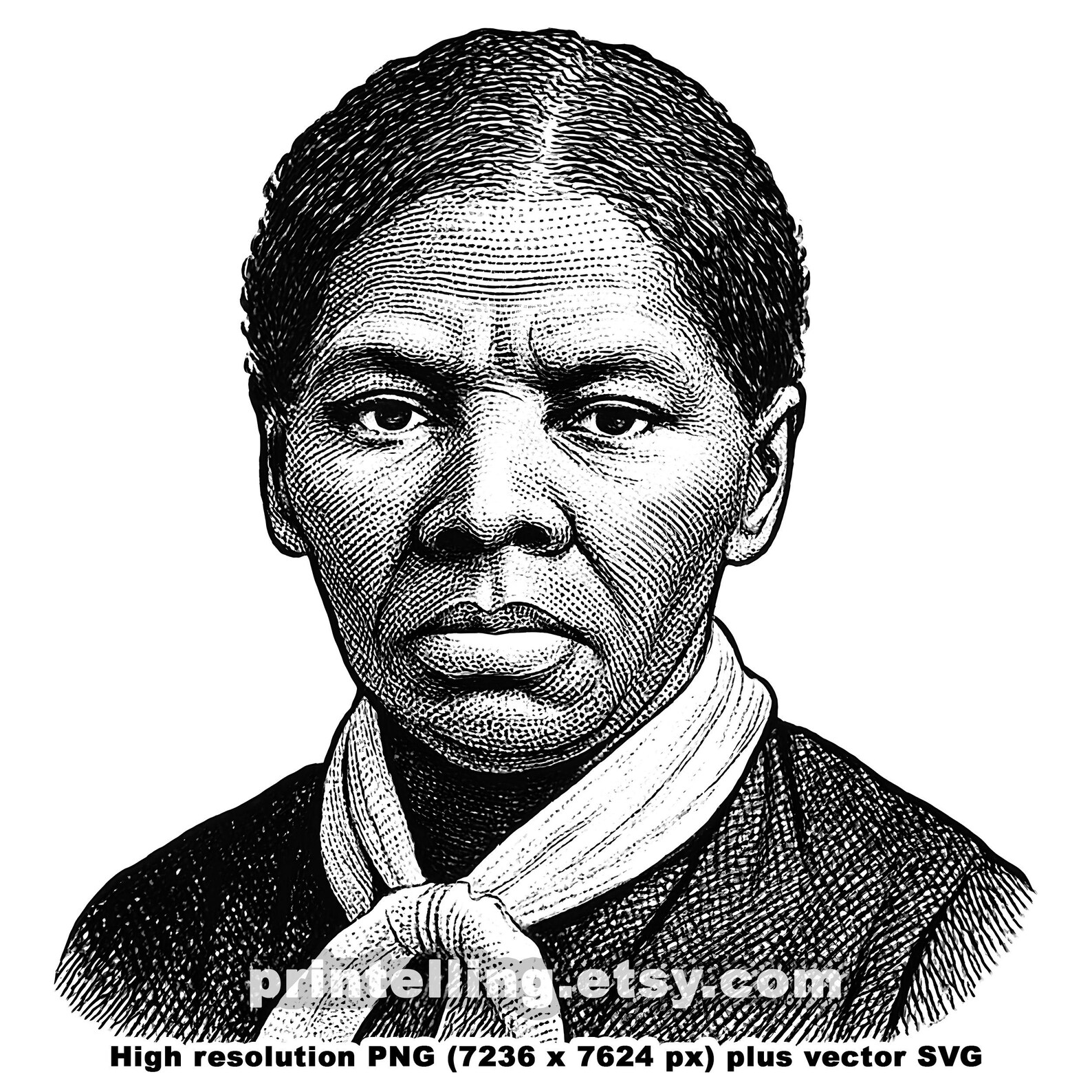 Portraits of Black Civil Rights Leaders; Vintage Style Graphics ...