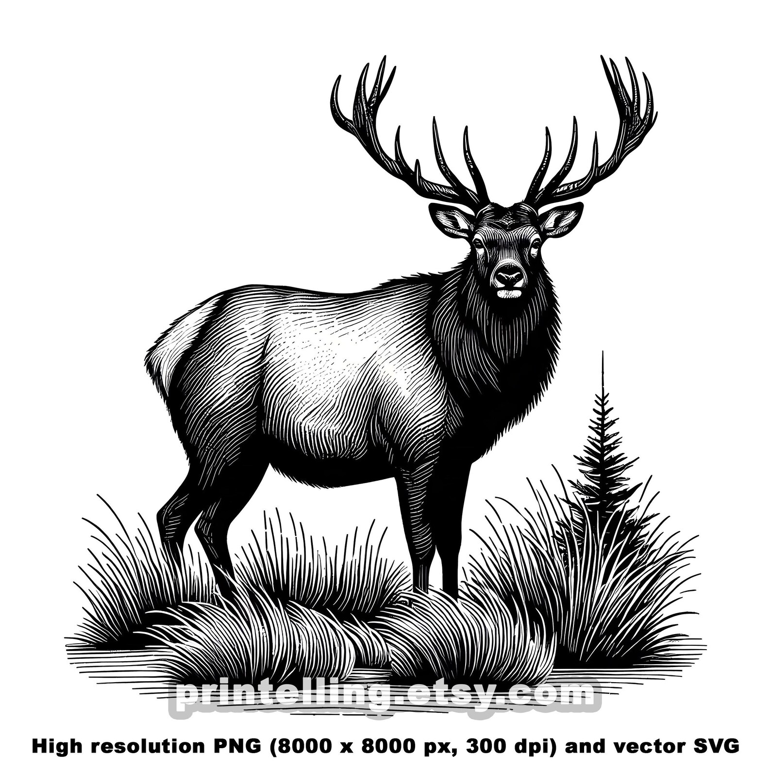 Vintage Elk Etching Art Bundle: PNG & SVG Digital Files - Etsy