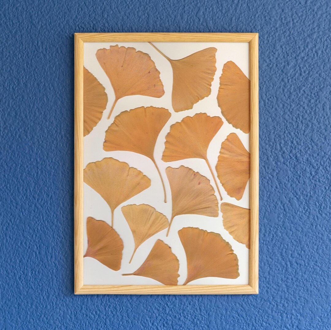 Ginkgo Leaf Print, Pattern With Natural Leaves Ginkgo Biloba, Wabi Sabi ...