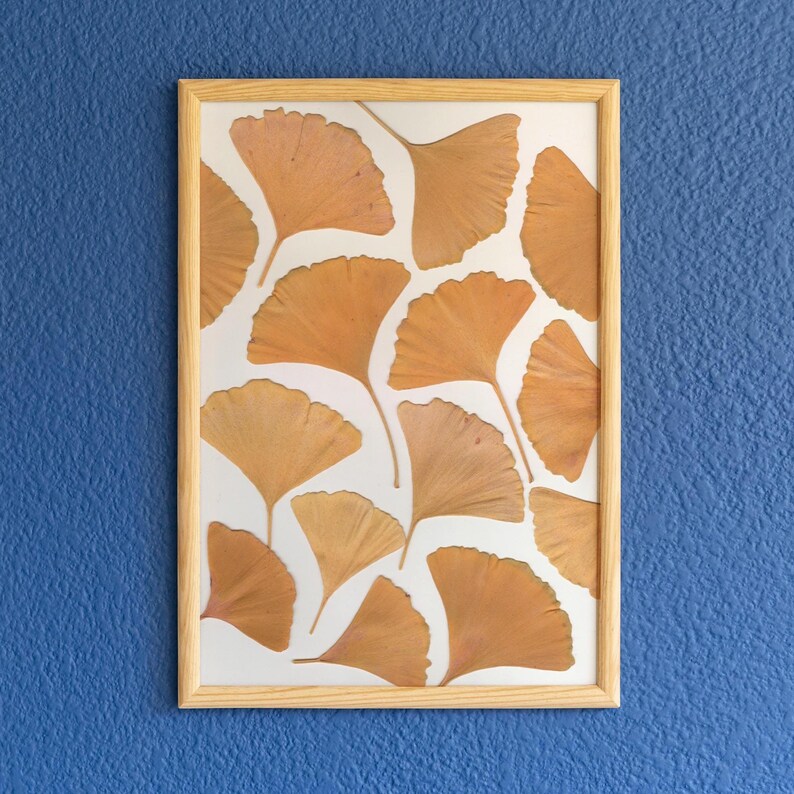 Ginkgo Leaf Print, Pattern With Natural Leaves Ginkgo Biloba, Wabi Sabi ...