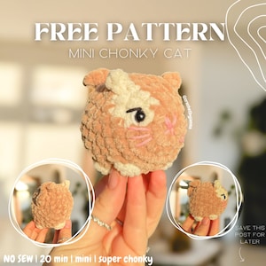 Mini Chonky Cat FREE NO SEW Crochet Pattern | Quick and Easy | Beginner ...