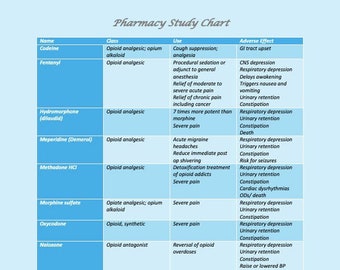 Printable Bible Study Chart: the Books of the Bible/ Digital Download ...