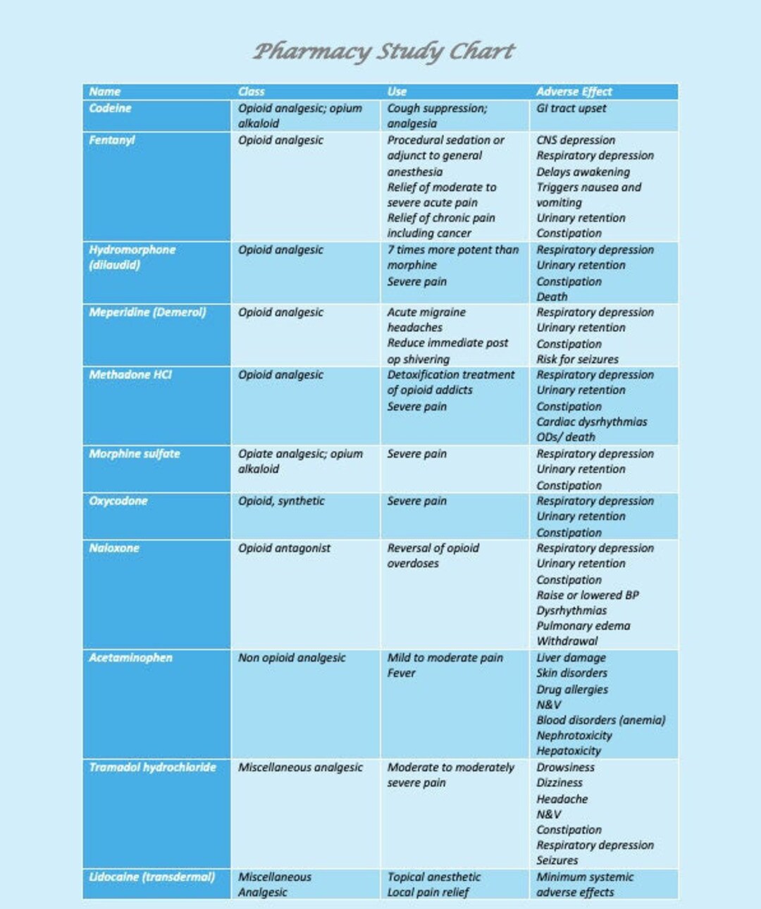 Pharmacy Study Chart - Etsy