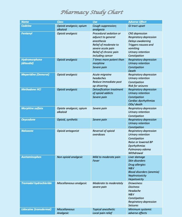 Pharmacy Study Chart - Etsy