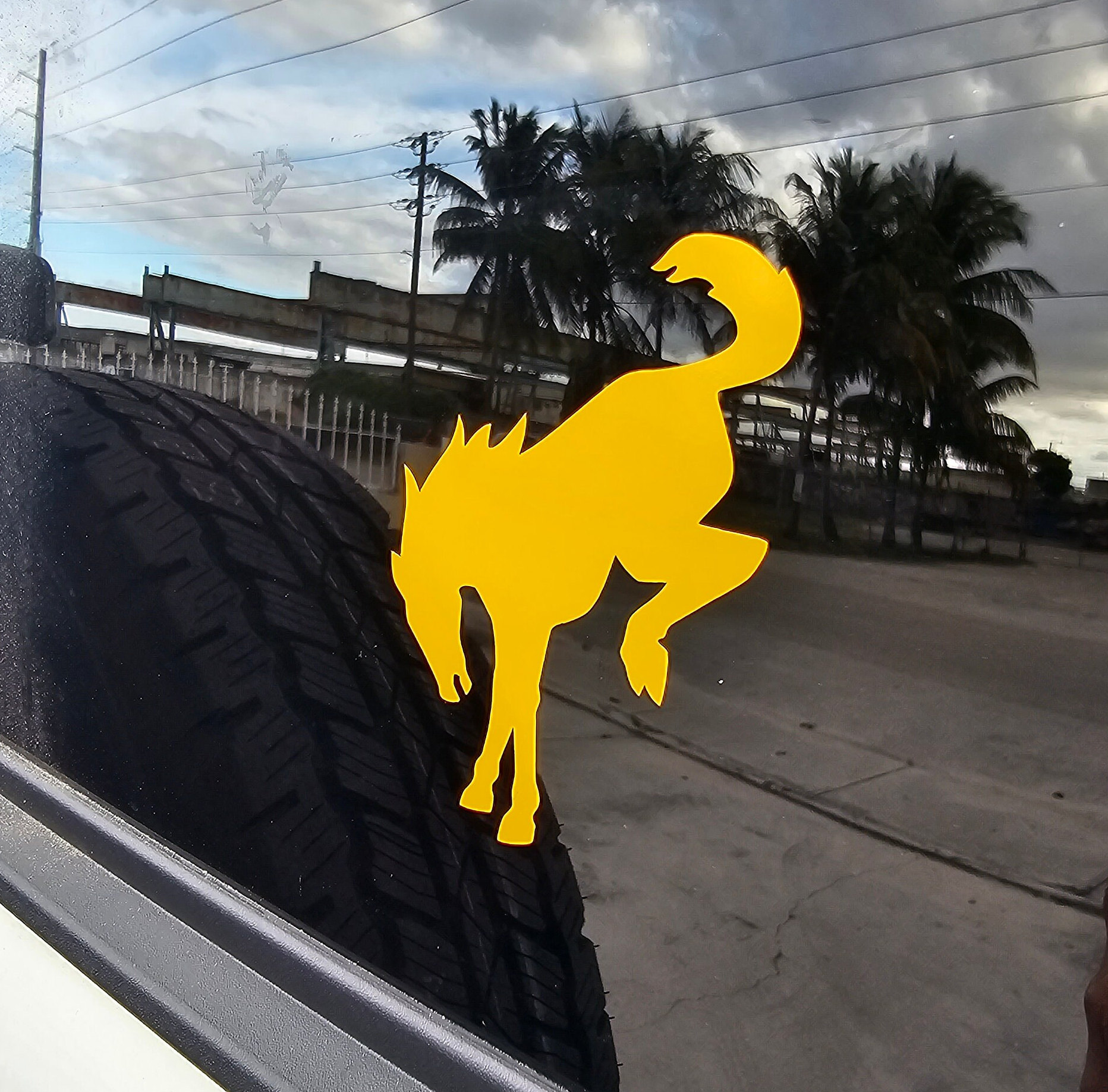 Bronco Horse Logo Decal - Etsy