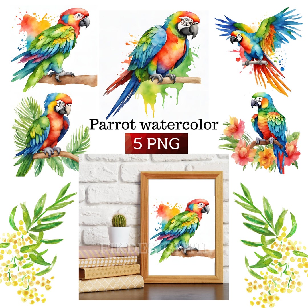 Parrot Watercolor Clipart 5 PNG High Quality Digital Paper Art ...