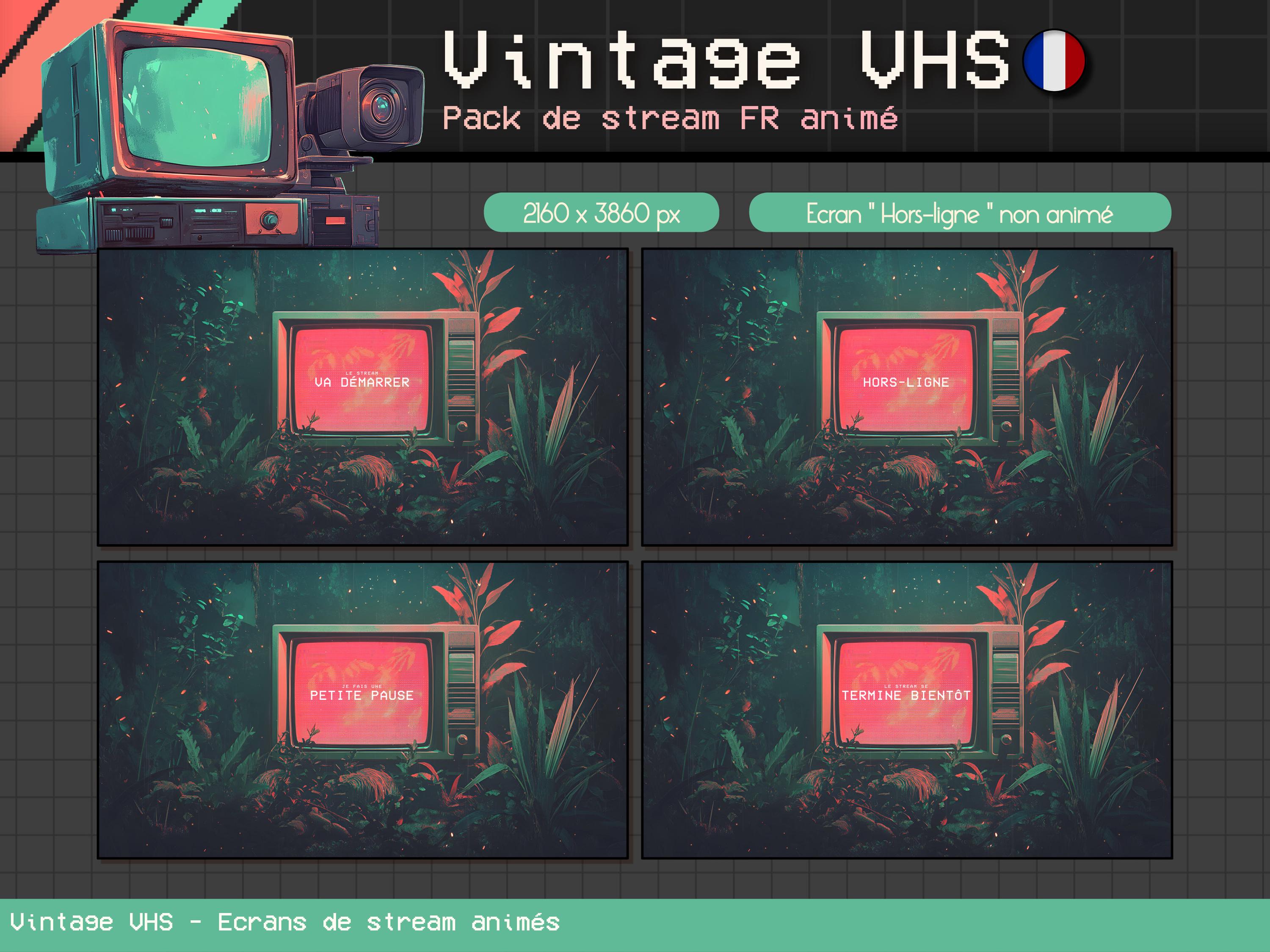 Retro Analog Horror Twitch Stream Package FRENCH : Vintage VHS Animated ...