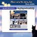 Black Cat Stream Schedule Template: Twitch & Instagram Planner (canva ...