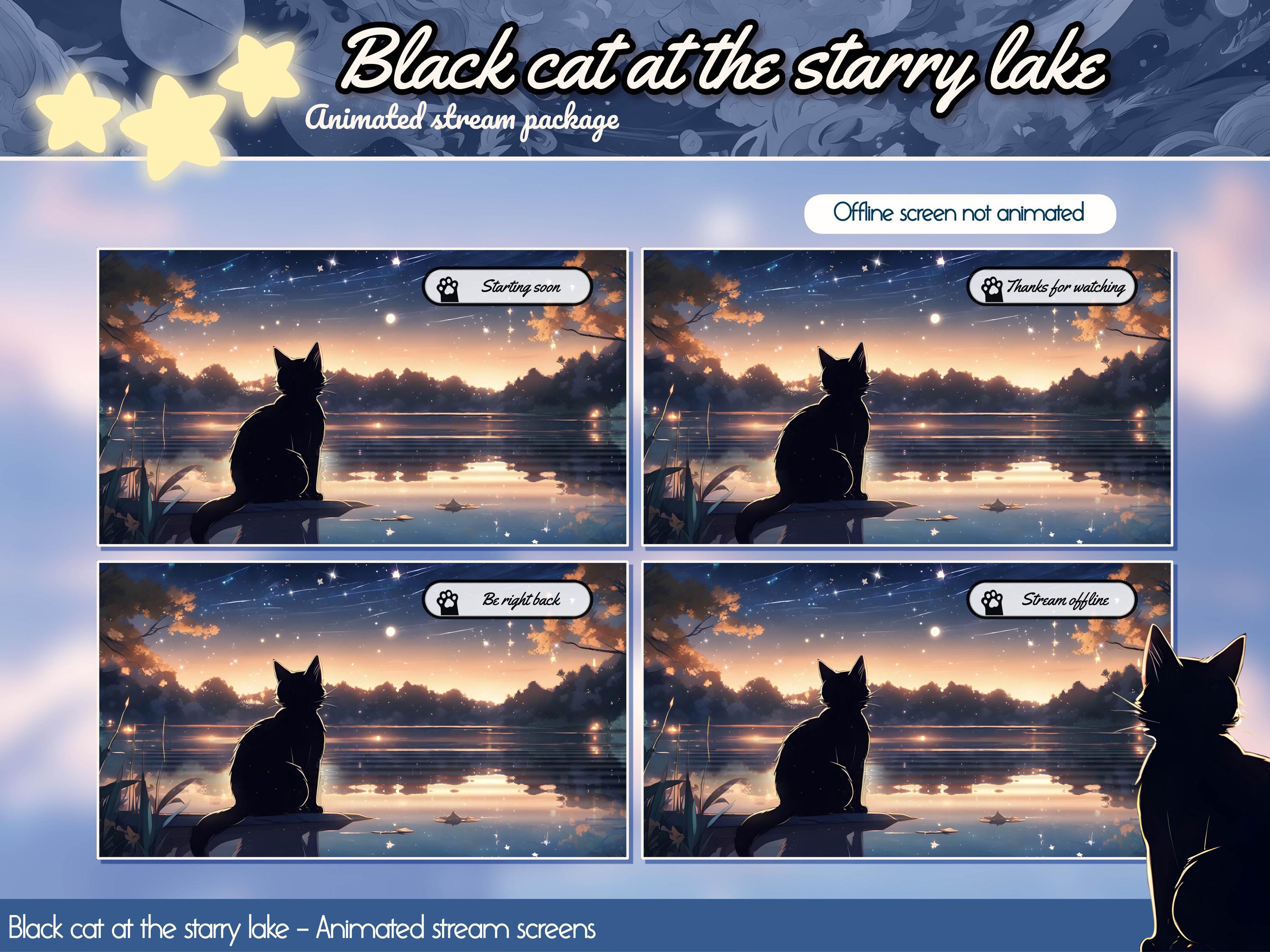 Black Cat Starry Lake Animated Twitch Stream Package (digital Download ...