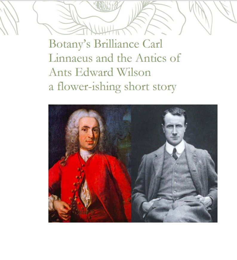 Botany's Brilliance Carl Linnaeus and the Antics of Ants Edward Wilson ...