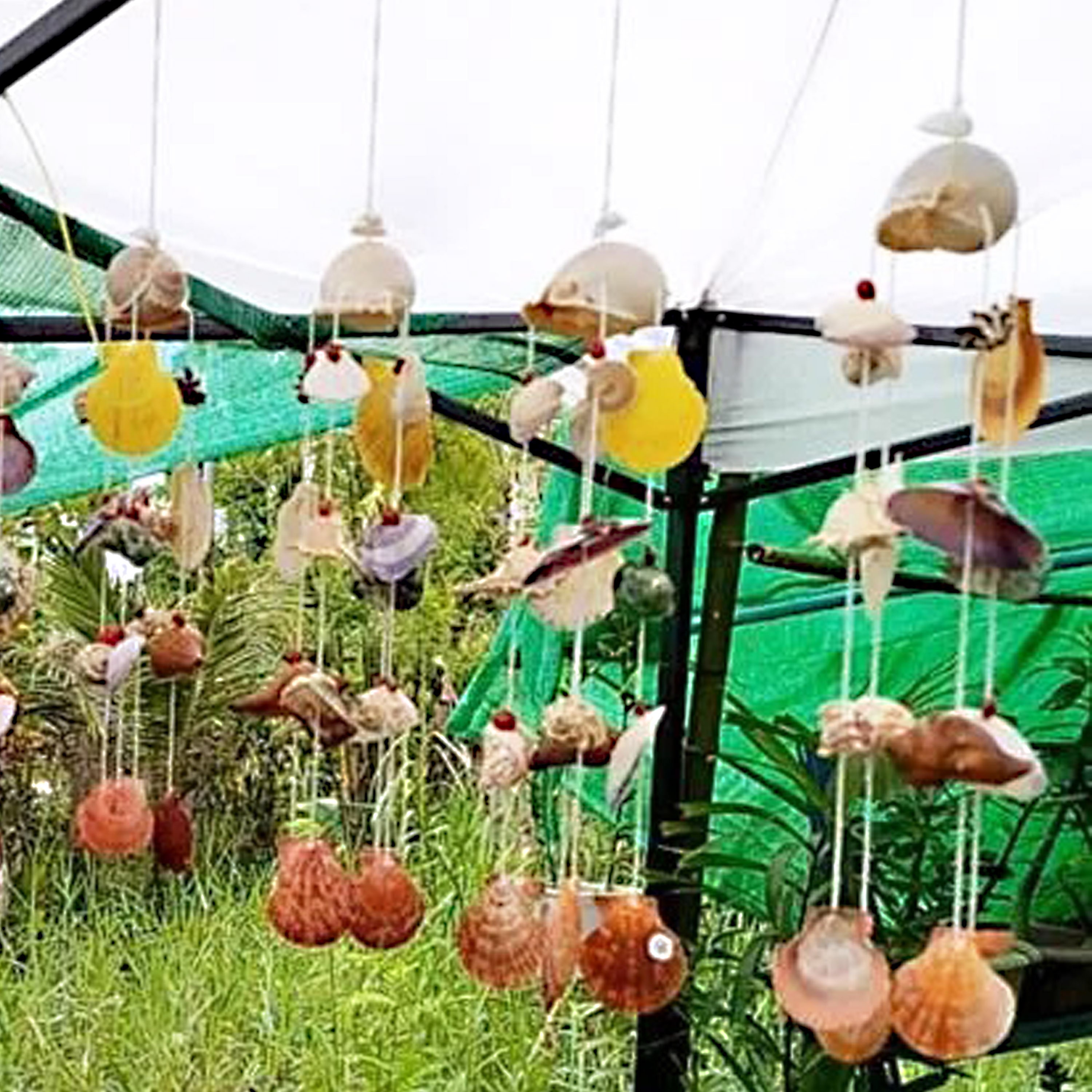 Handmade Sea Shell Conch Wind Chimes Hanging Mobile 4 Lines Garden ...