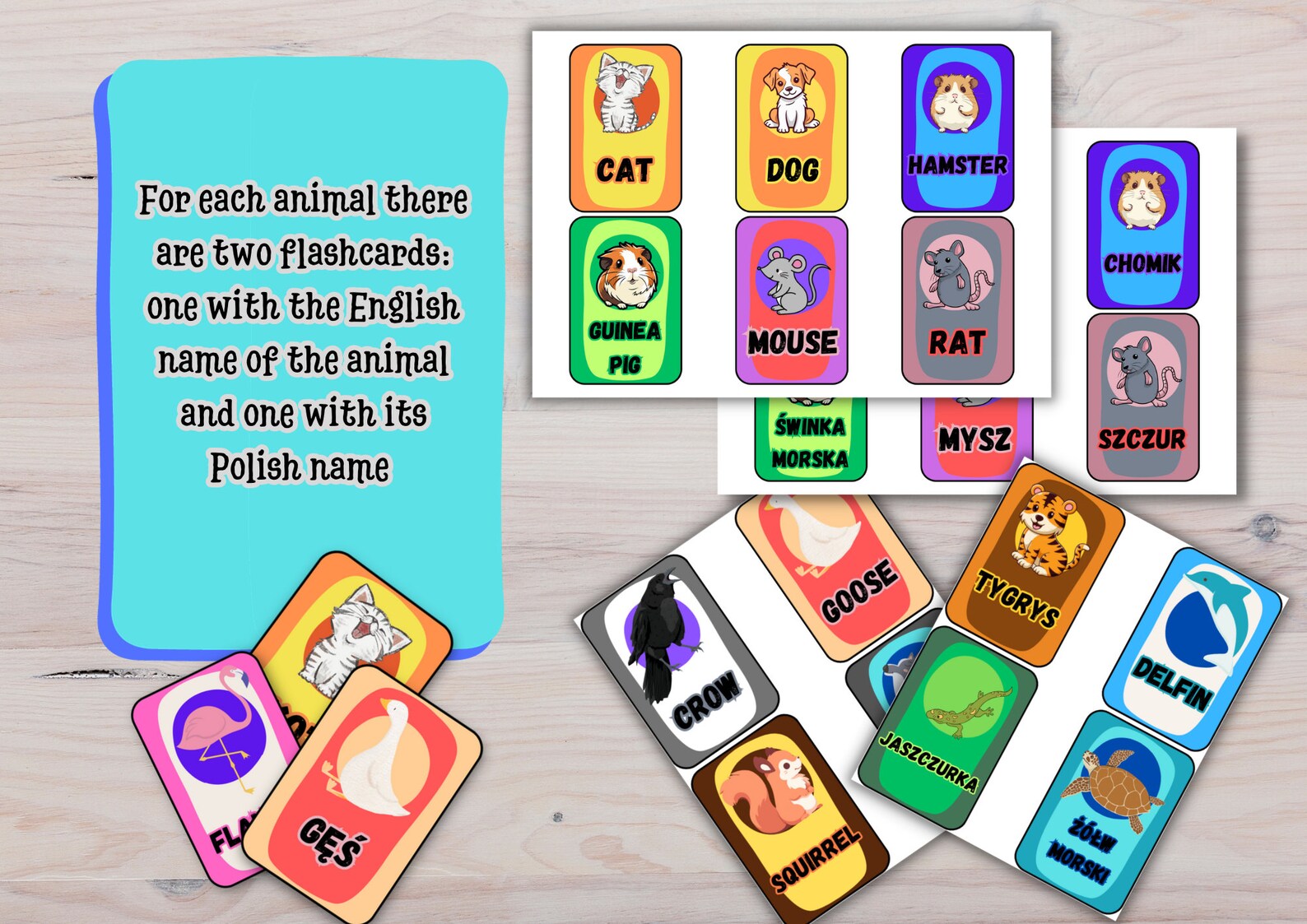 Cute Animals Flashcards: Learn Polish & English (digital Download) - Etsy