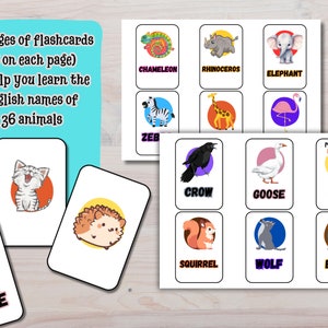 Cute Animal Flashcards: Learn English Names (digital Download) - Etsy