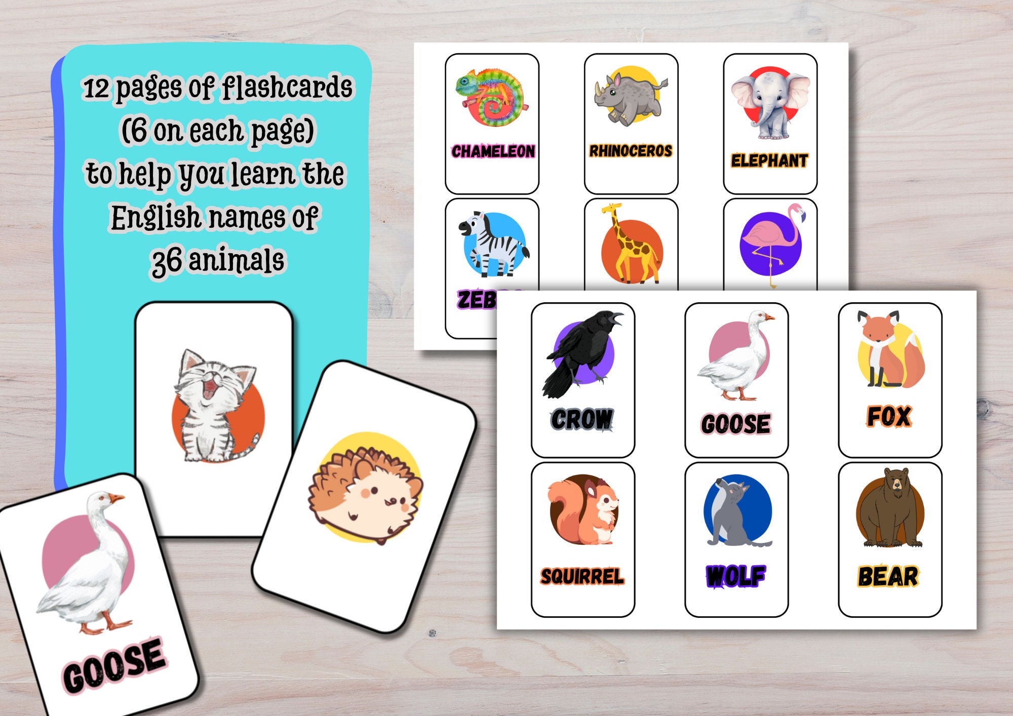 Cute Animals Flashcards. Learn the English Names of 36 Animals With ...