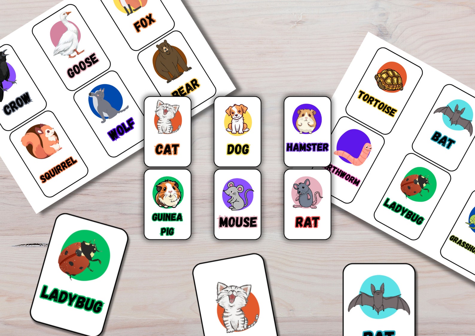 Cute Animals Flashcards. Learn the English Names of 36 Animals With ...