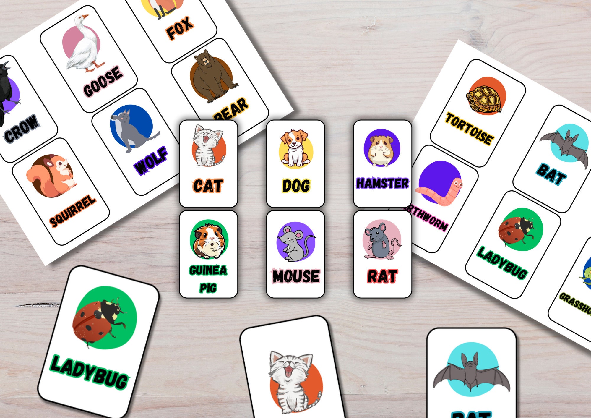 Cute Animals Flashcards. Learn the English Names of 36 Animals With ...