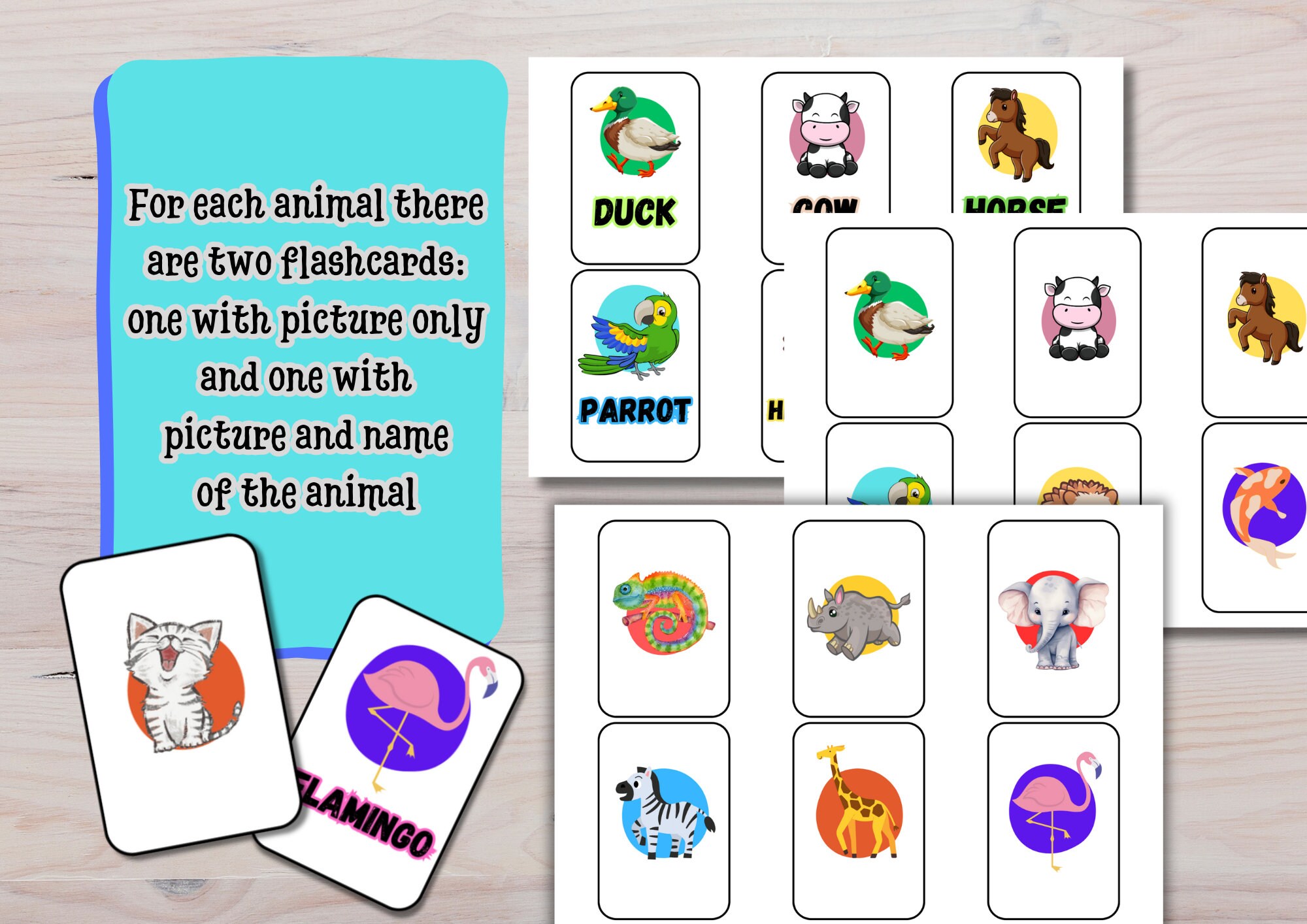 Cute Animals Flashcards. Learn the English Names of 36 Animals With ...